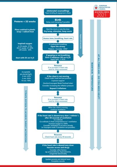 Réanimation cardiopulmonaire : Nouvelles recos pédiatriques/néonatales ...
